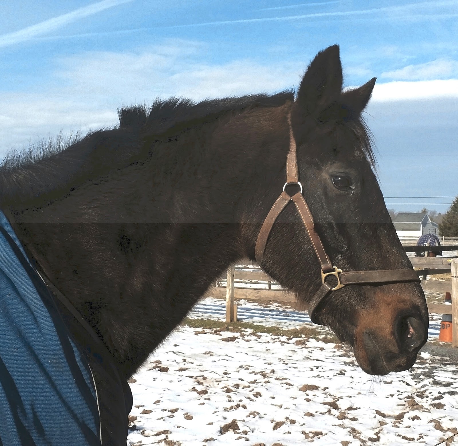 Behind the Bit: January 2015