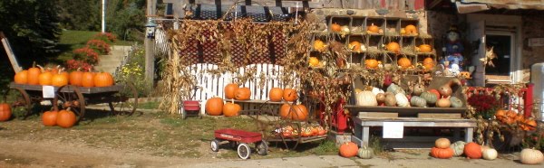 The Olde Primitive Barn