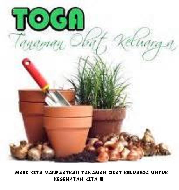 Tanaman Obat Keluarga (TOGA) Dawan Klod: Leaflet