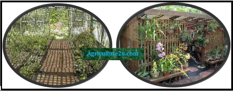 Wonderful Tips About How To Build A Lath House - Petertrade29