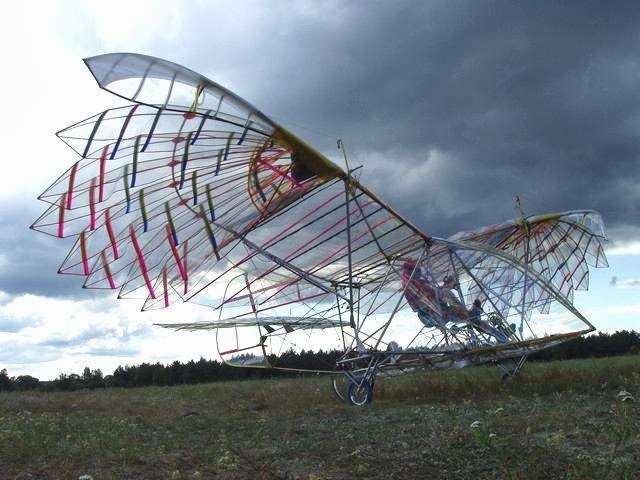 My Journey towards Infinity!: Flapping Wing Mechanism or Ornithopter!