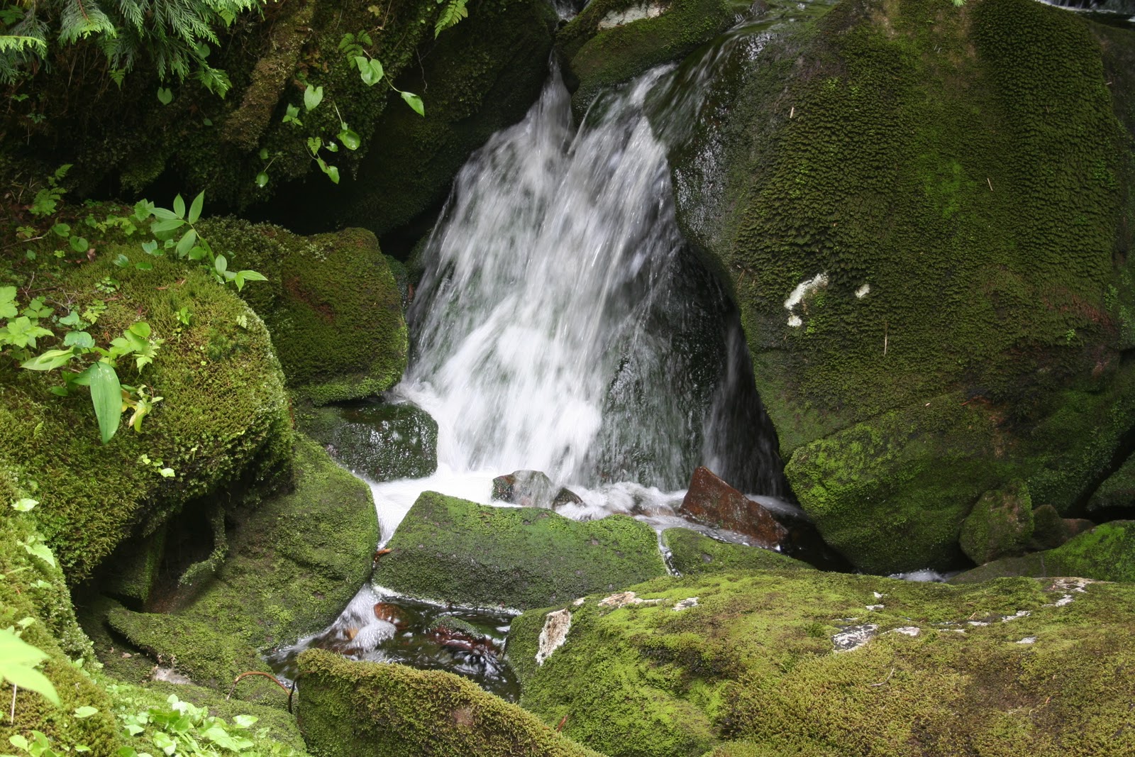 View From Rain Island