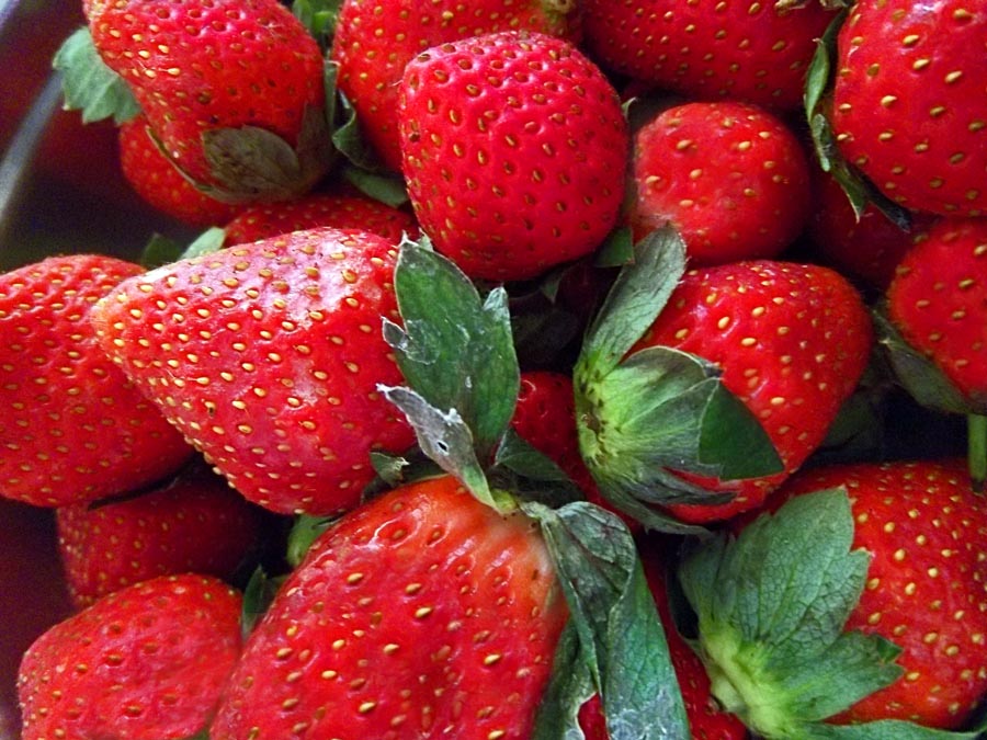 Stock Pictures: Strawberries photographs and sketch