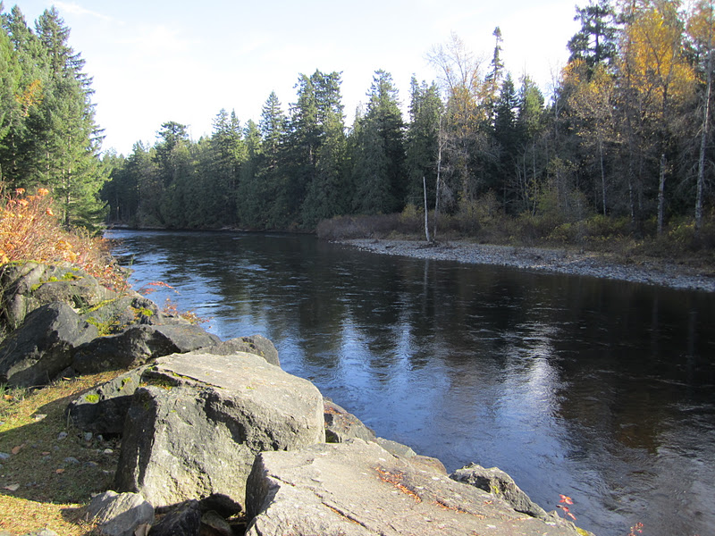 wayside wanderings: Nanaimo River Regional Park Hike
