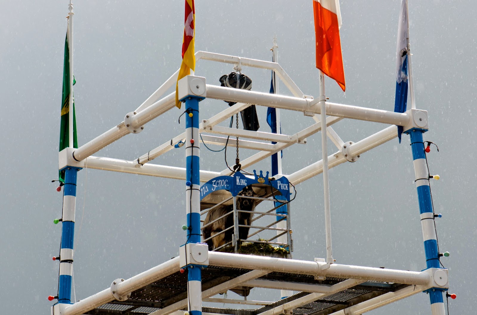 The Plashing Vole: August 2014