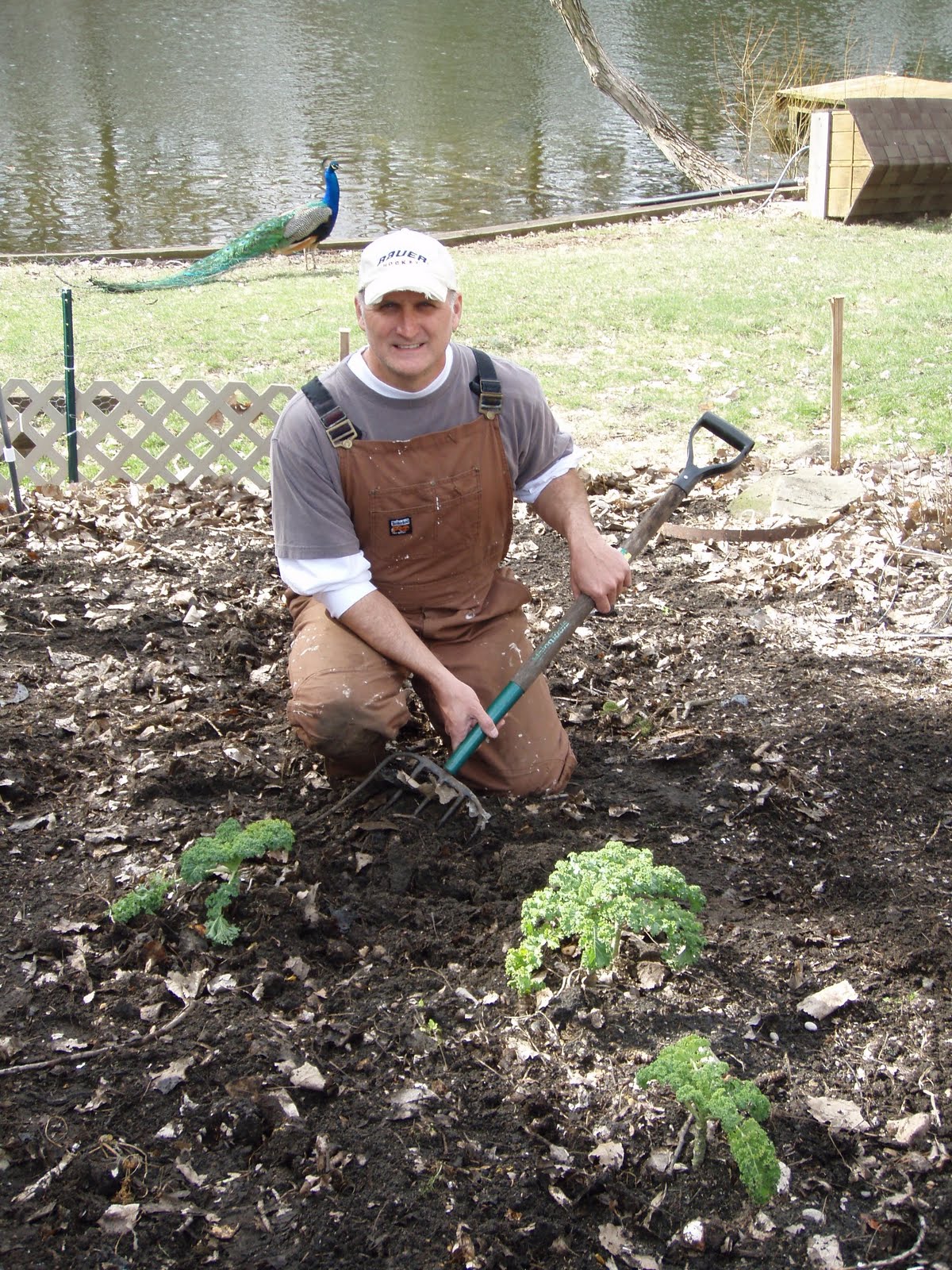 Garden to Garden: Michigan Backyard Farms brings fresh to 'your backyard'