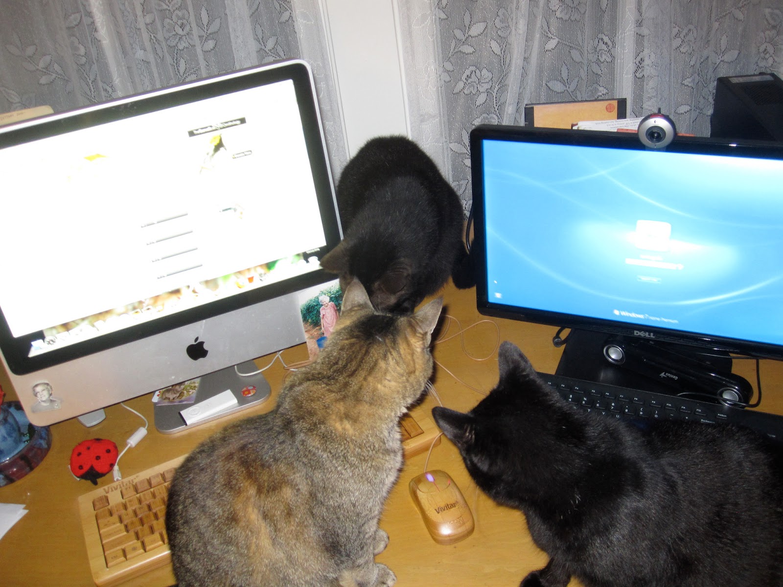 6 Generations: July 2013