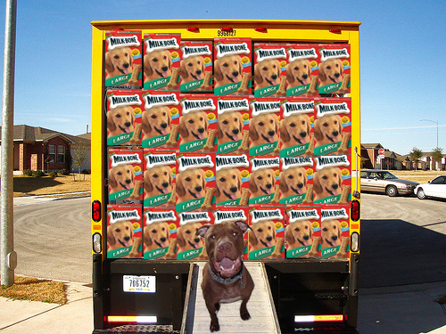 Tucker: Corbin and Tucker go to Vegas