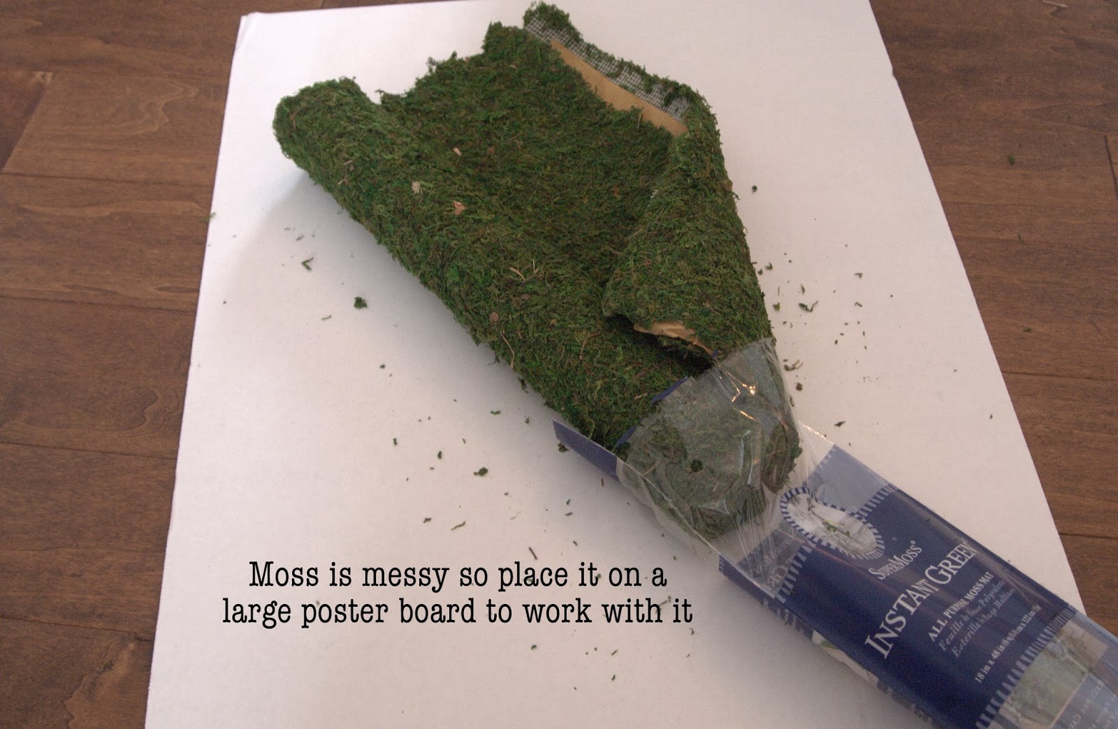 Frame Gets A New Moss Look When Glass Breaks