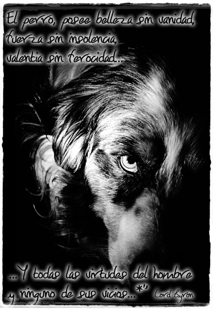 I wish to be forgotten: La crueldad...