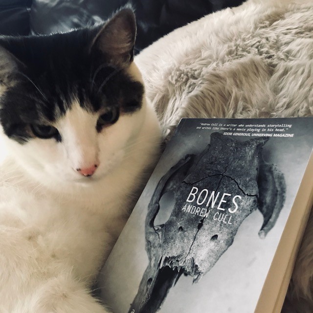 Bones by Andrew Cull Review