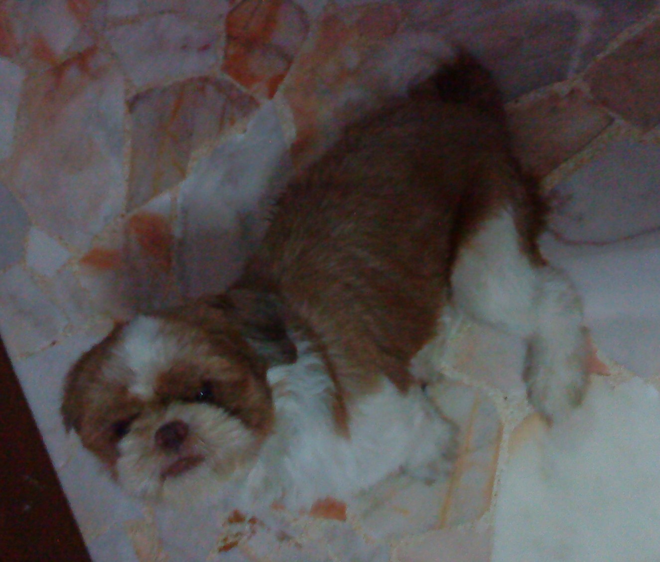 Lychees From Leechie: WoRtH ReAdInG At LeAsT OnCe