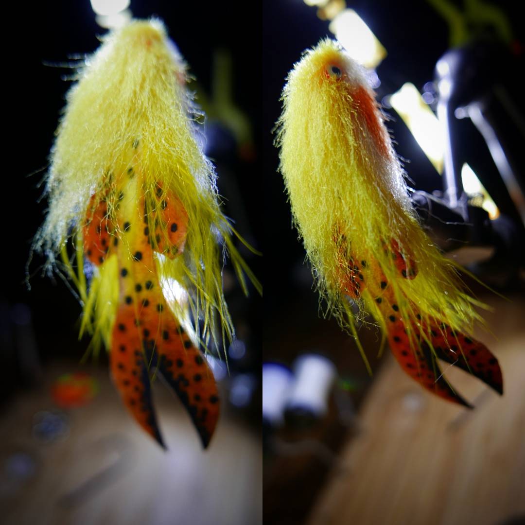 Flies with attitude: Freestyle tails and where do i get them.