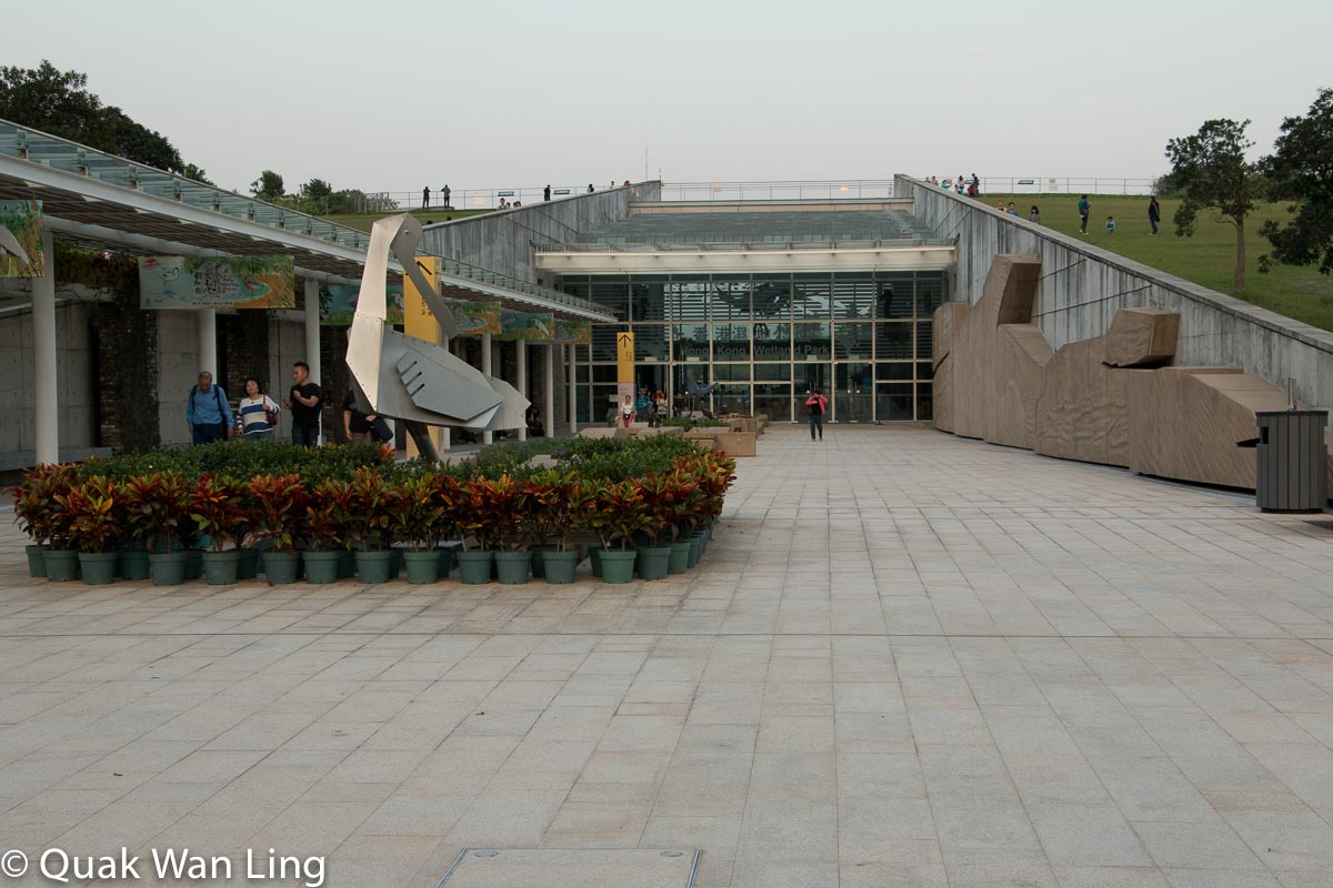 Big Bunny Trails: HK Nature Walk - Hong Kong Wetland Park