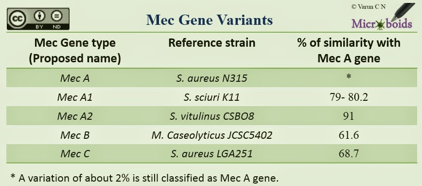 SCCmec IX- Mec C gene
