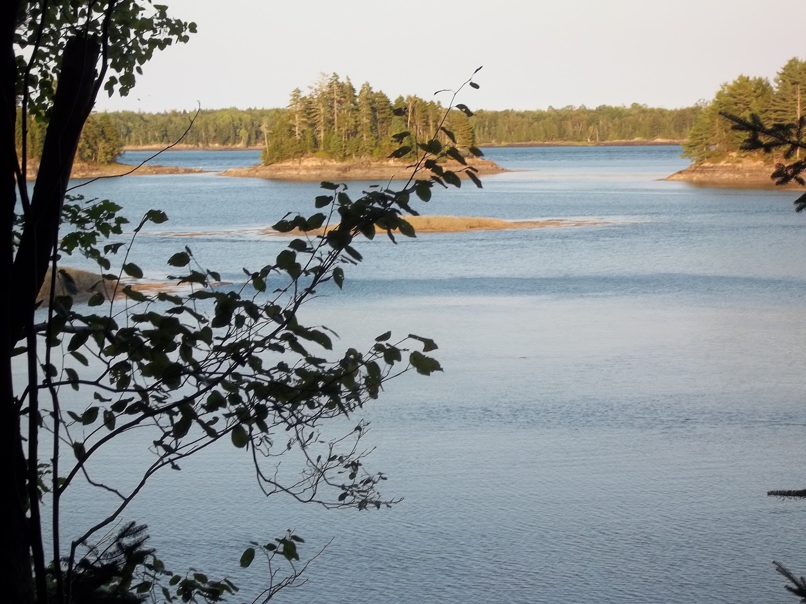 Wicked Awesomology: Cobscook Bay State Park in Downeast Maine