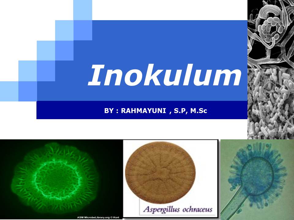 Inokulum | RSS
