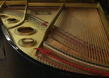 HSC Music 1: Instrument and its repertoire