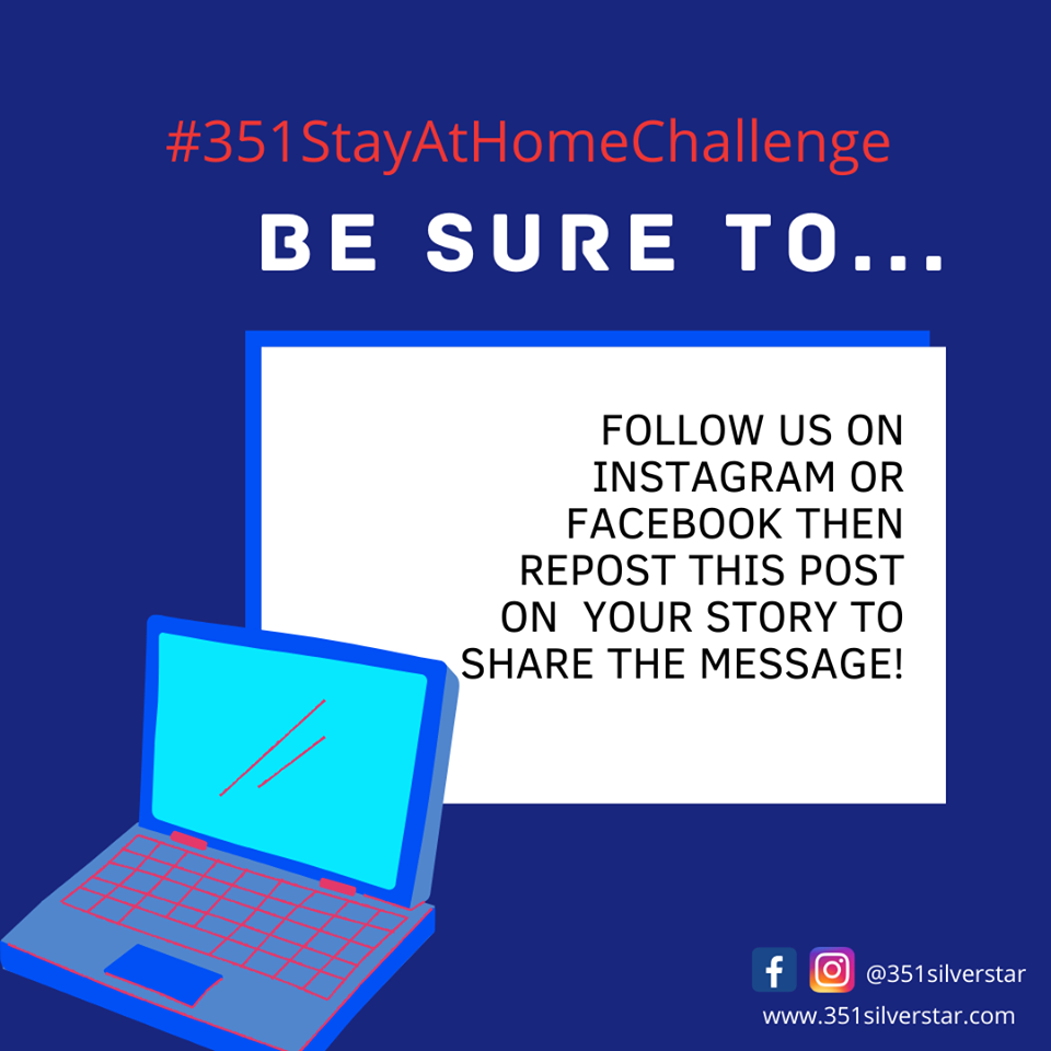 351 Silver Star Squadron - Unionville