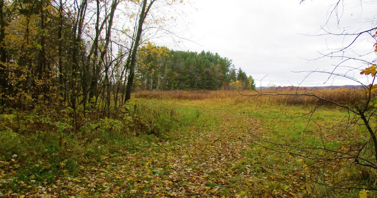 Day Hiking Trails: Wetlands deliver primitive hiking experience