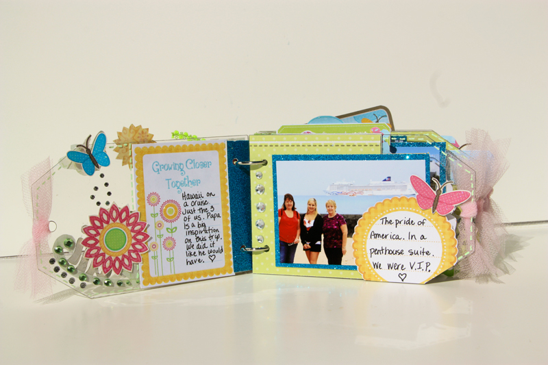 Cute ideas for Mini Books