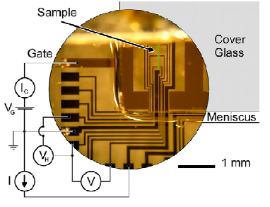 New Technique reveals quantum phase transition in Superconductors ...