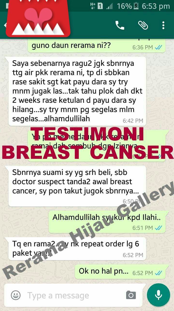 Rerama Asli: Daun Rerama