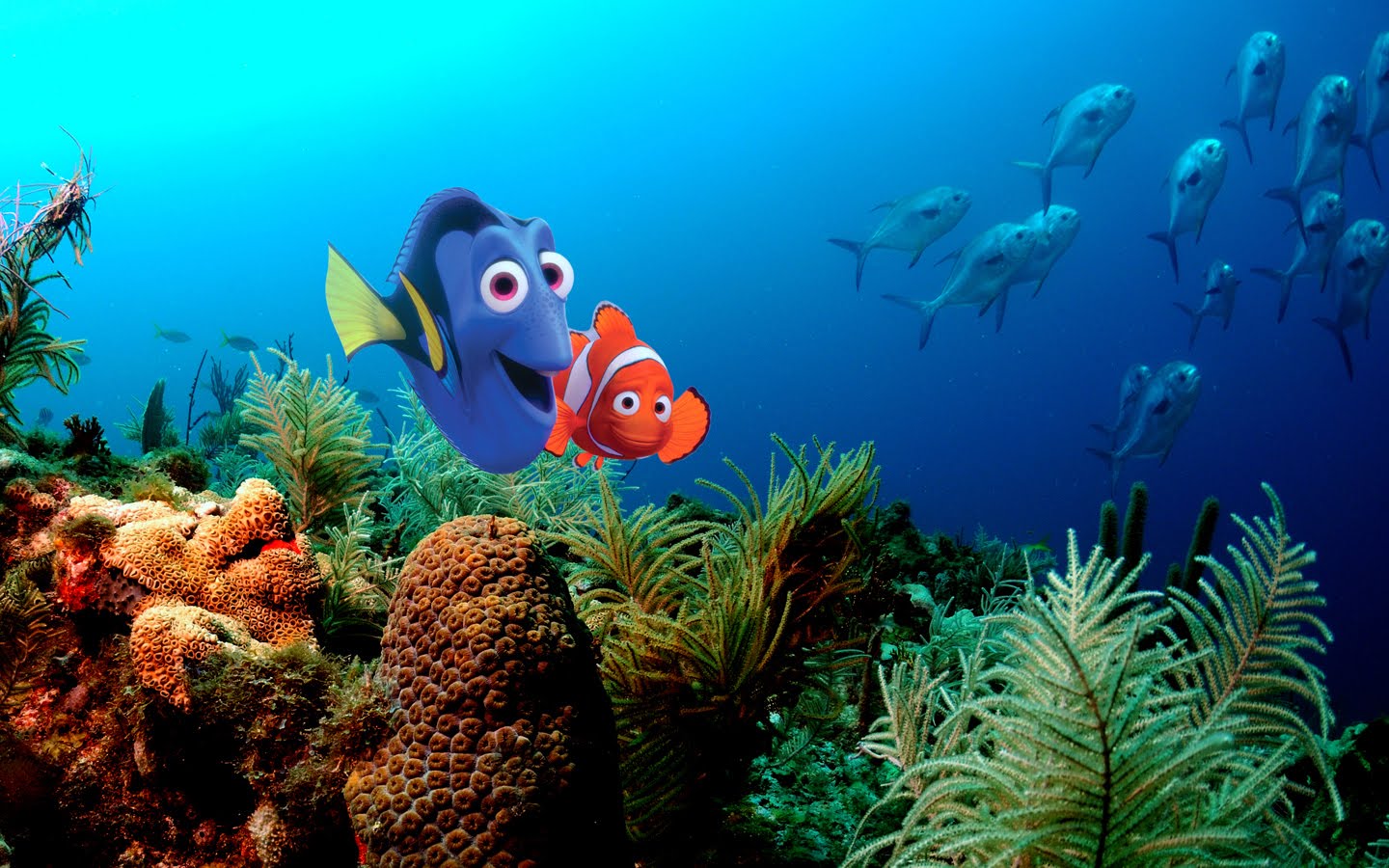 Disney HD Wallpapers: Finding Nemo HD Wallpapers