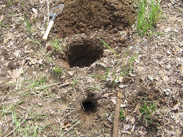 Back Creek Bushcraft: Dakota Fire Hole