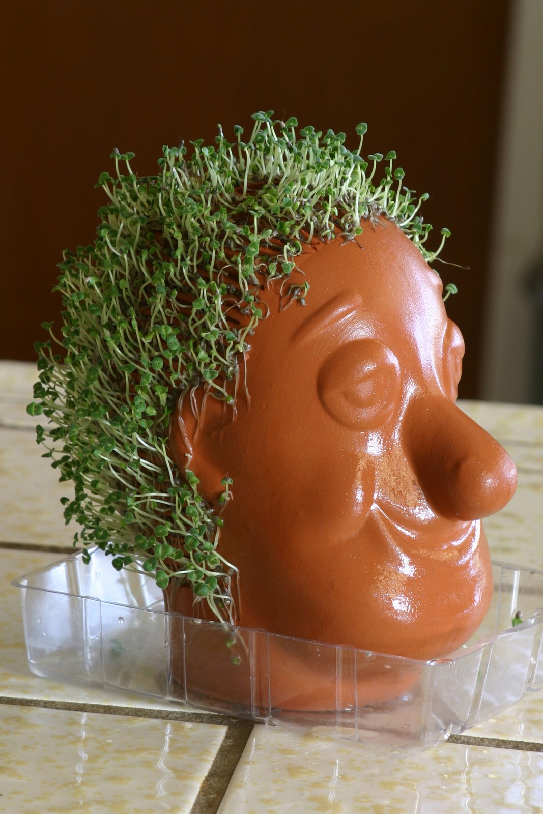 Living The Healthy Life