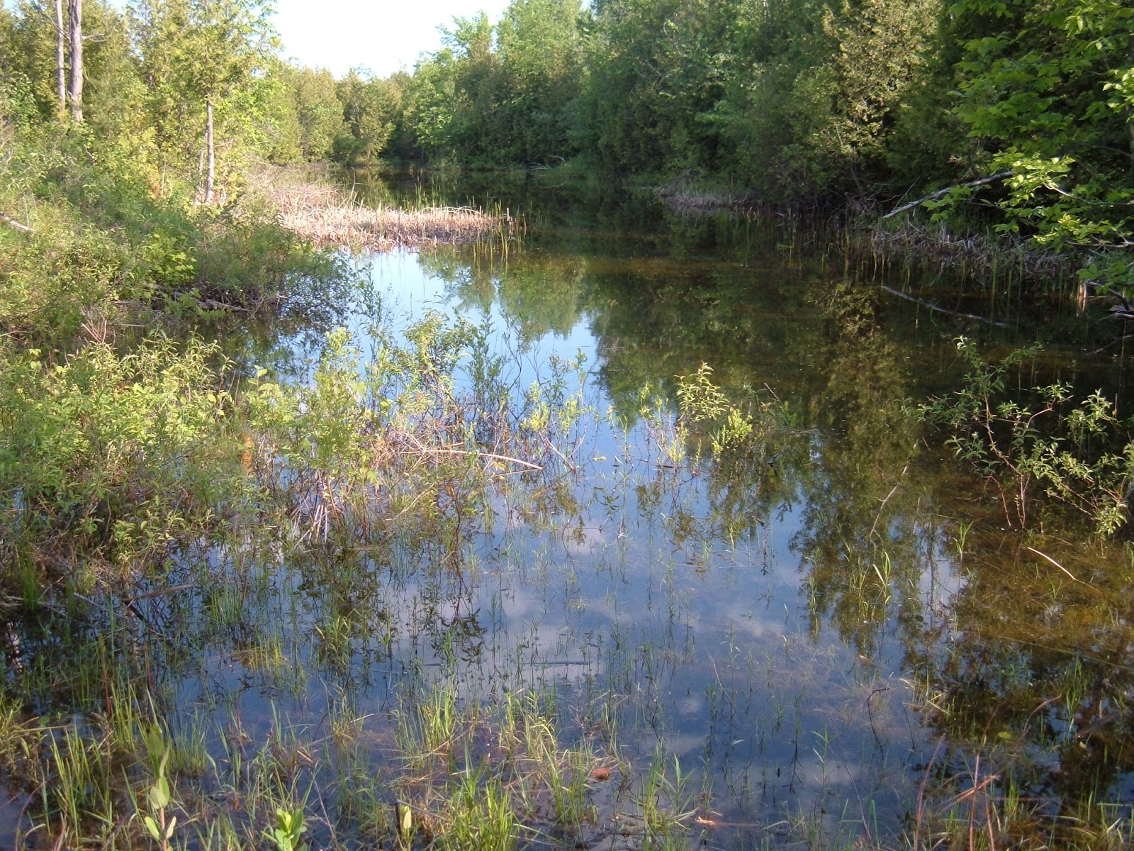 Due North: Building the trout pond