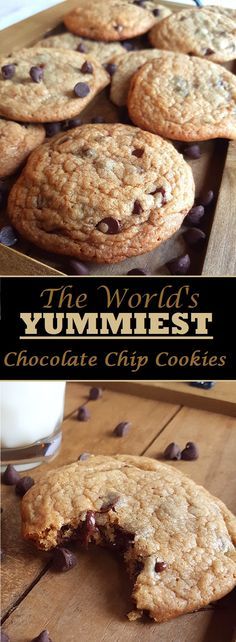 The World’s Yummiest Cookie – Omnom’s - My Favorite food and Recipe