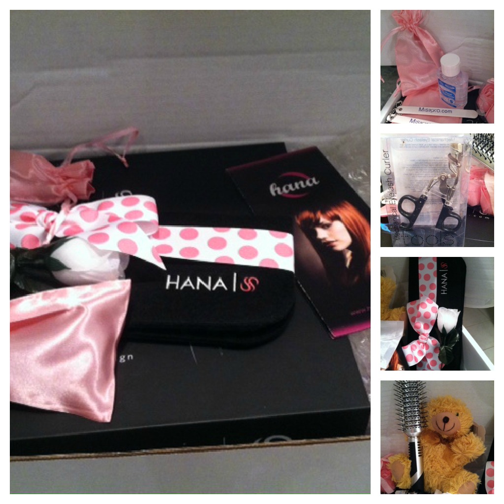 Southern Living: Preppy Style: Not Your Typical Review: Hana Hair Dryer