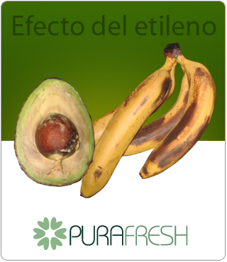 ETENO O ETILENO | "USOS DE COMPUESTOS QUÍMICOS ORGÁNICOS"