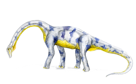 Los animales en la prehistoria: Animales prehistóricos con la letra A