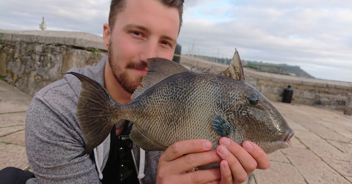 Ben Bassett - Fishing: Let's Talk Triggers