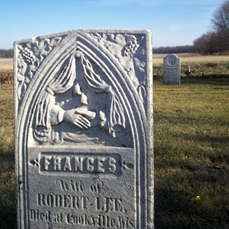 Cooksville News: "Cooksville’s Historic Waucoma Cemetery," by Larry Reed
