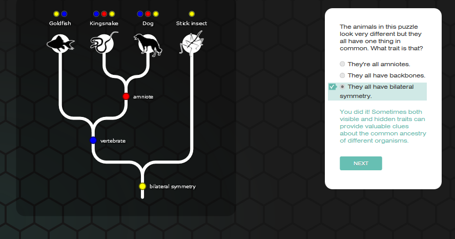 Phyloinformatics: Evolution game, NOVA Labs