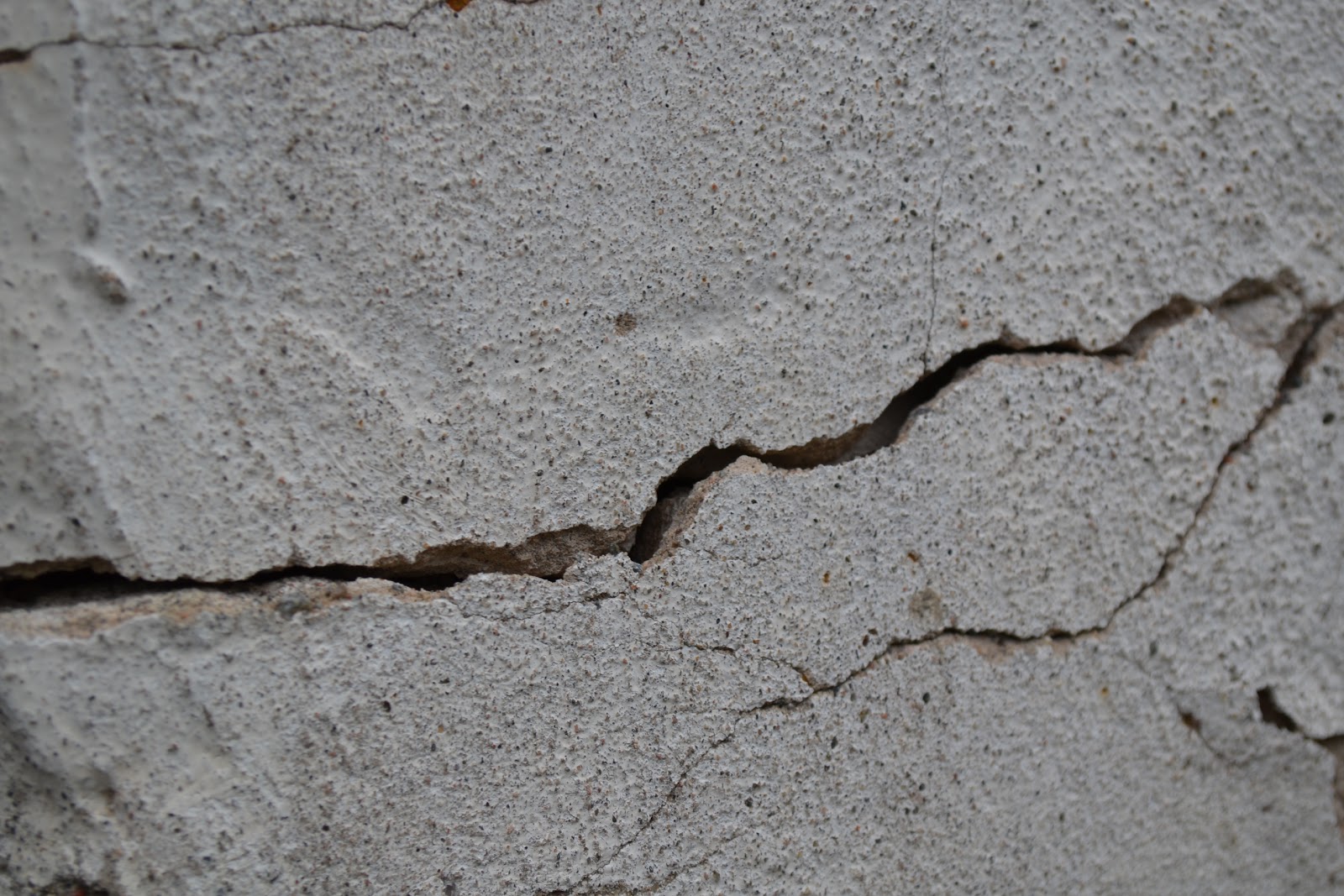 Carinas dagliga leverne: En spricka i muren