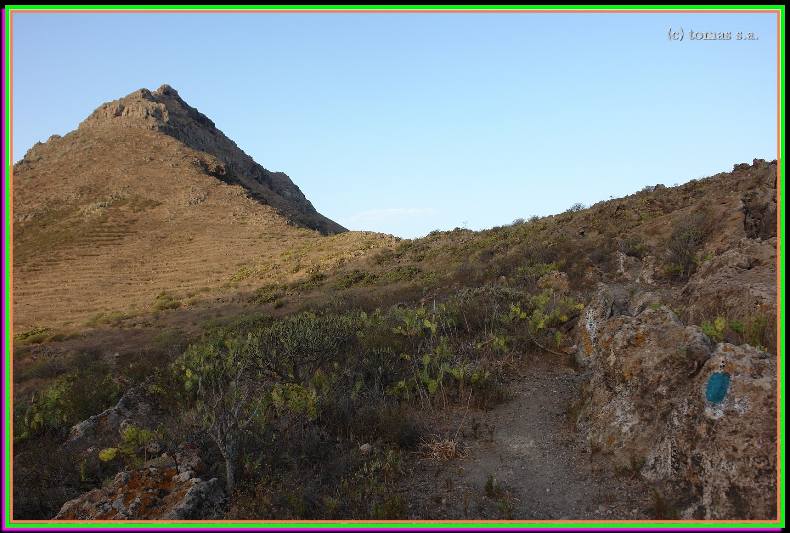 Tenerife senderos......: agosto 2013
