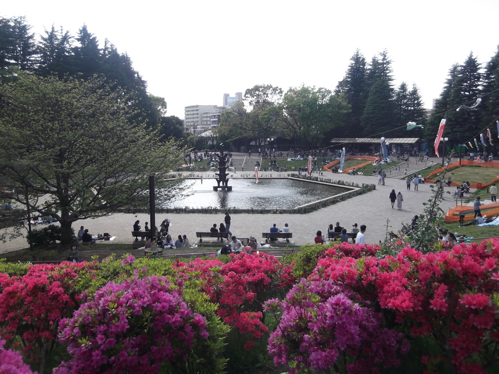 Driving in Japan: Flowers in Tokyo, Setagaya Park