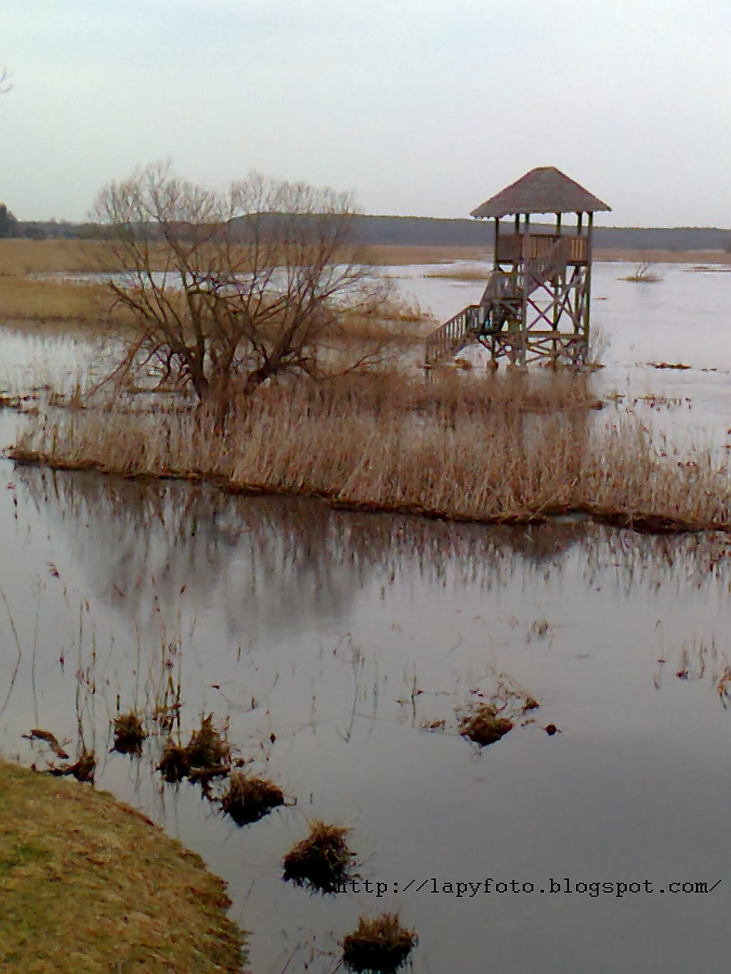 Gmina Łapy - fotorelacja.: Rzeka Narew, w pobliżu miejscowości Uhowo ...