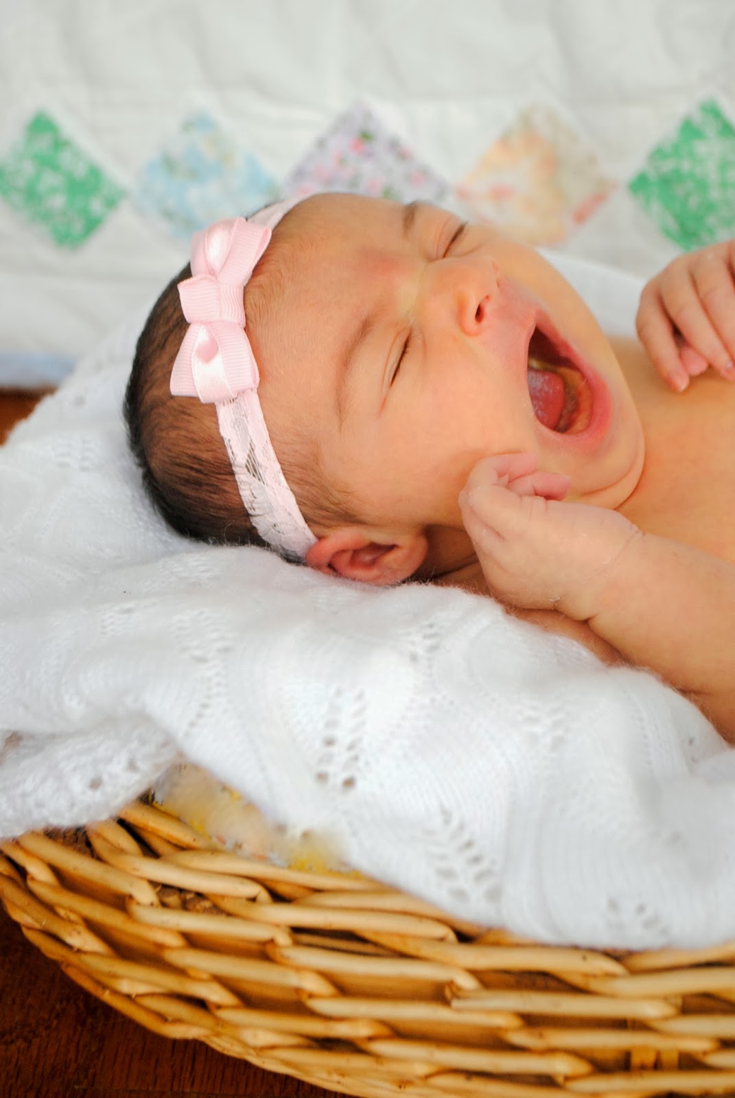 The Rosy Life: newborn photos