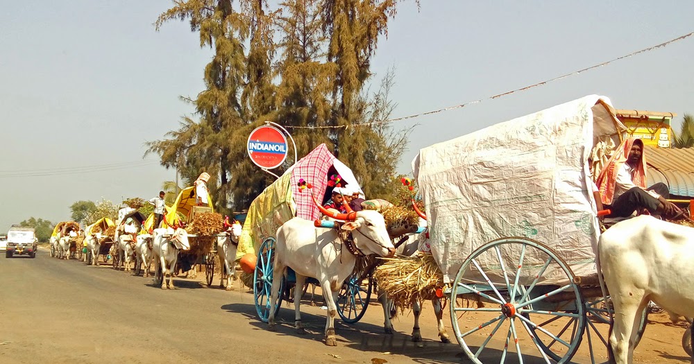 Stock Pictures: Bullock Cart or Bailgadi yatra