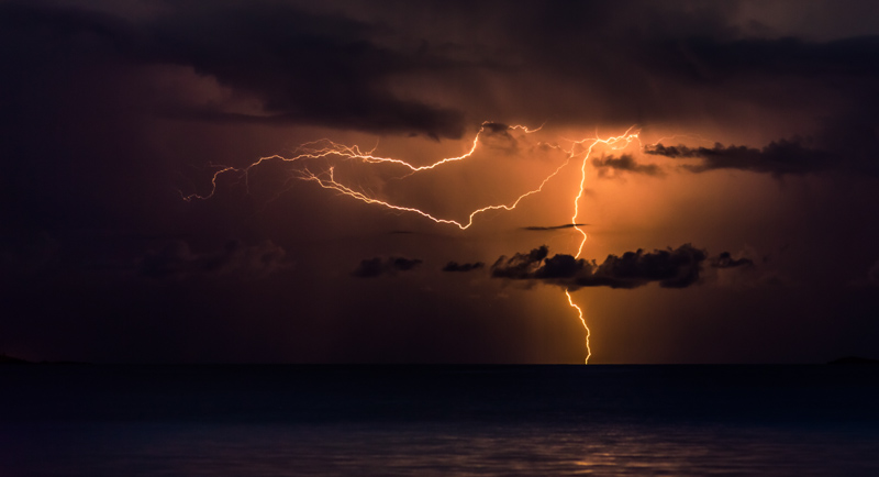 Ami Photography: Electric arms