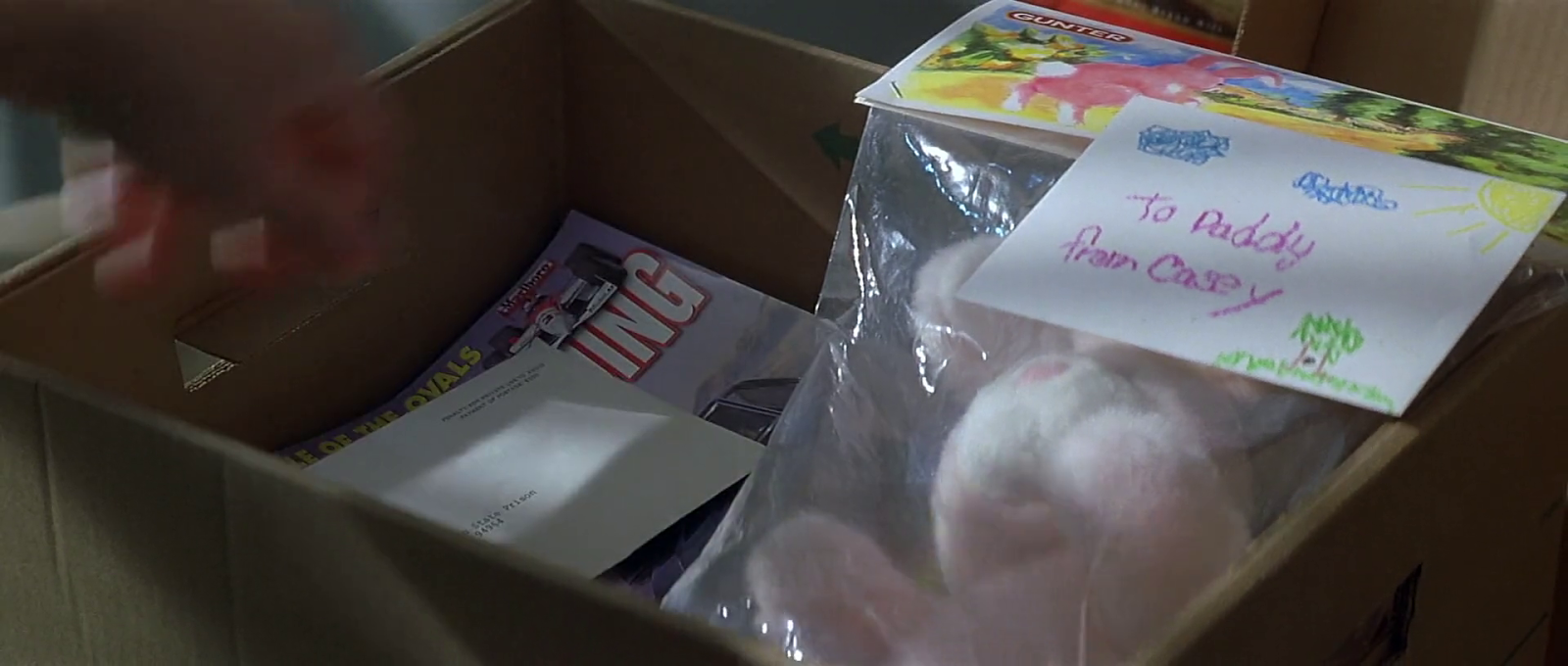 Terrible Blog For Terrible People: Con Air - Put the Bunny Back in the Box