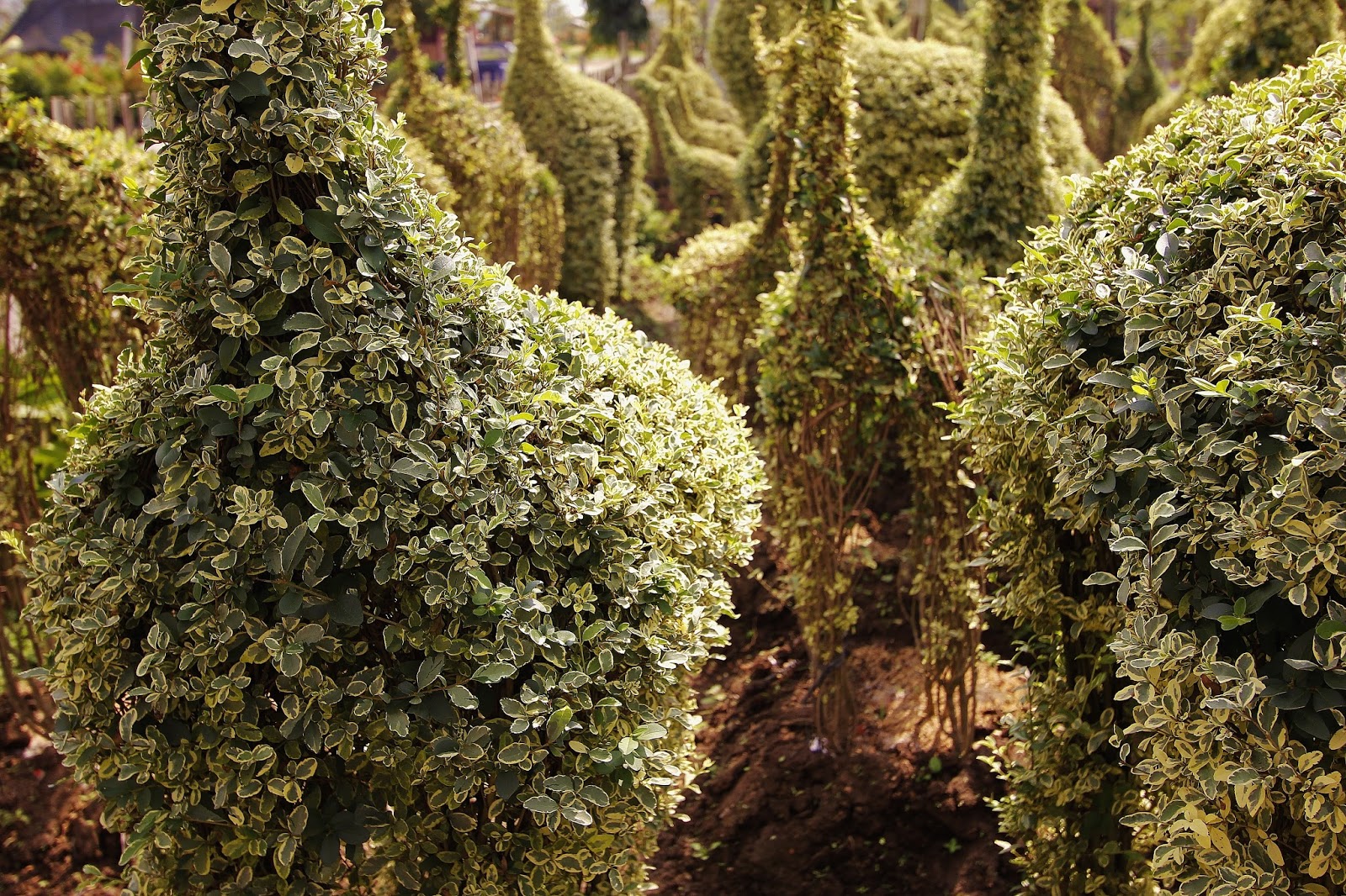 Blog | Husni I. Pohan: Inspirasi dari Jawa Timur #7 of 14 Batu