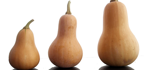 FORMAS SENCILLAS DE COCINAR LA CALABAZA