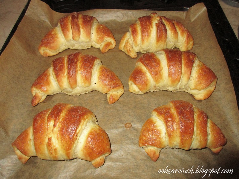 Rogale Marcińskie - Obżarciuch