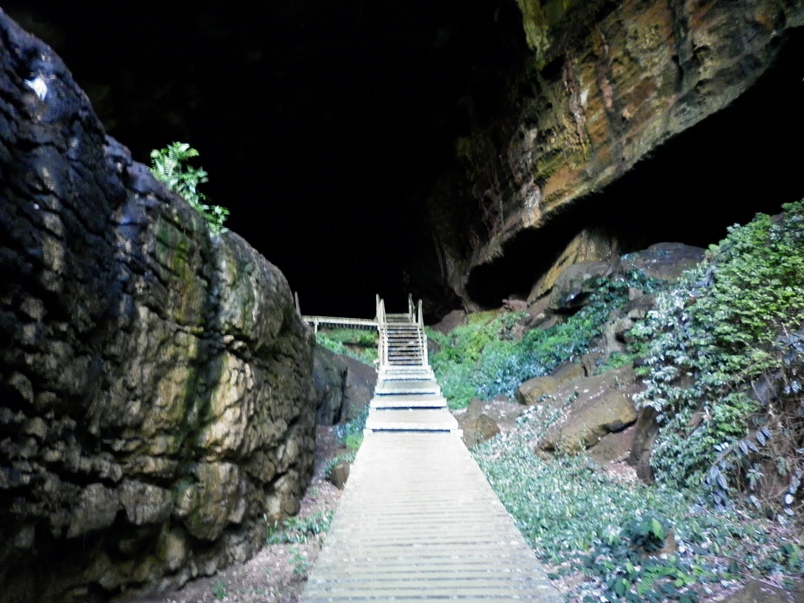 Gua Niah Sarawak: Gua Niah(Miri Sarawak)